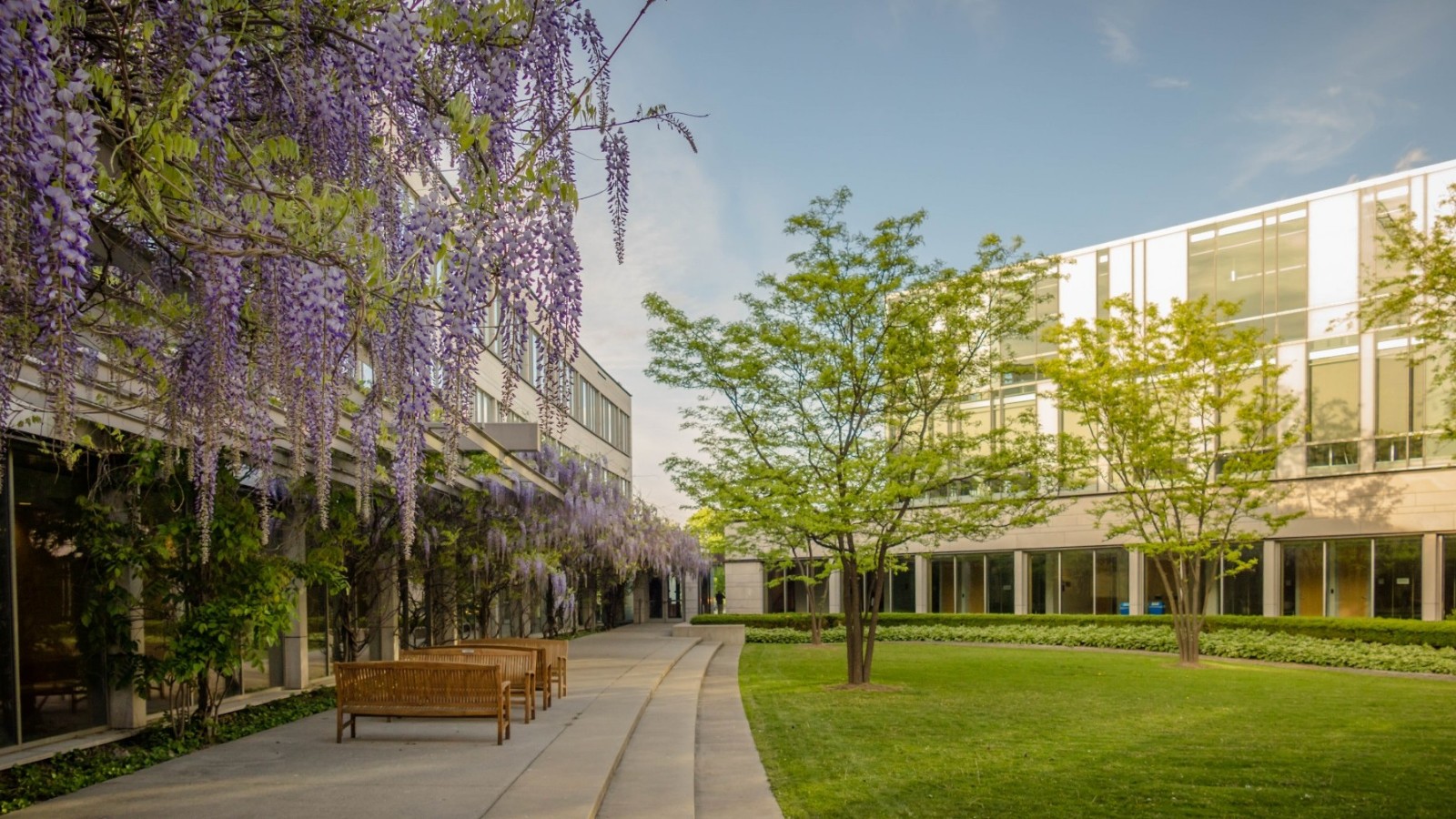 The MBA in Arts, Media & Entertainment Management at York University ...